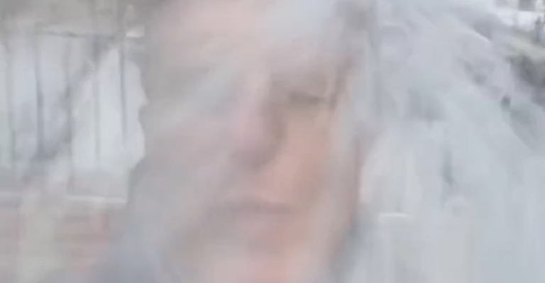 Did Michael Rapaport Stage the Snowball Hit?