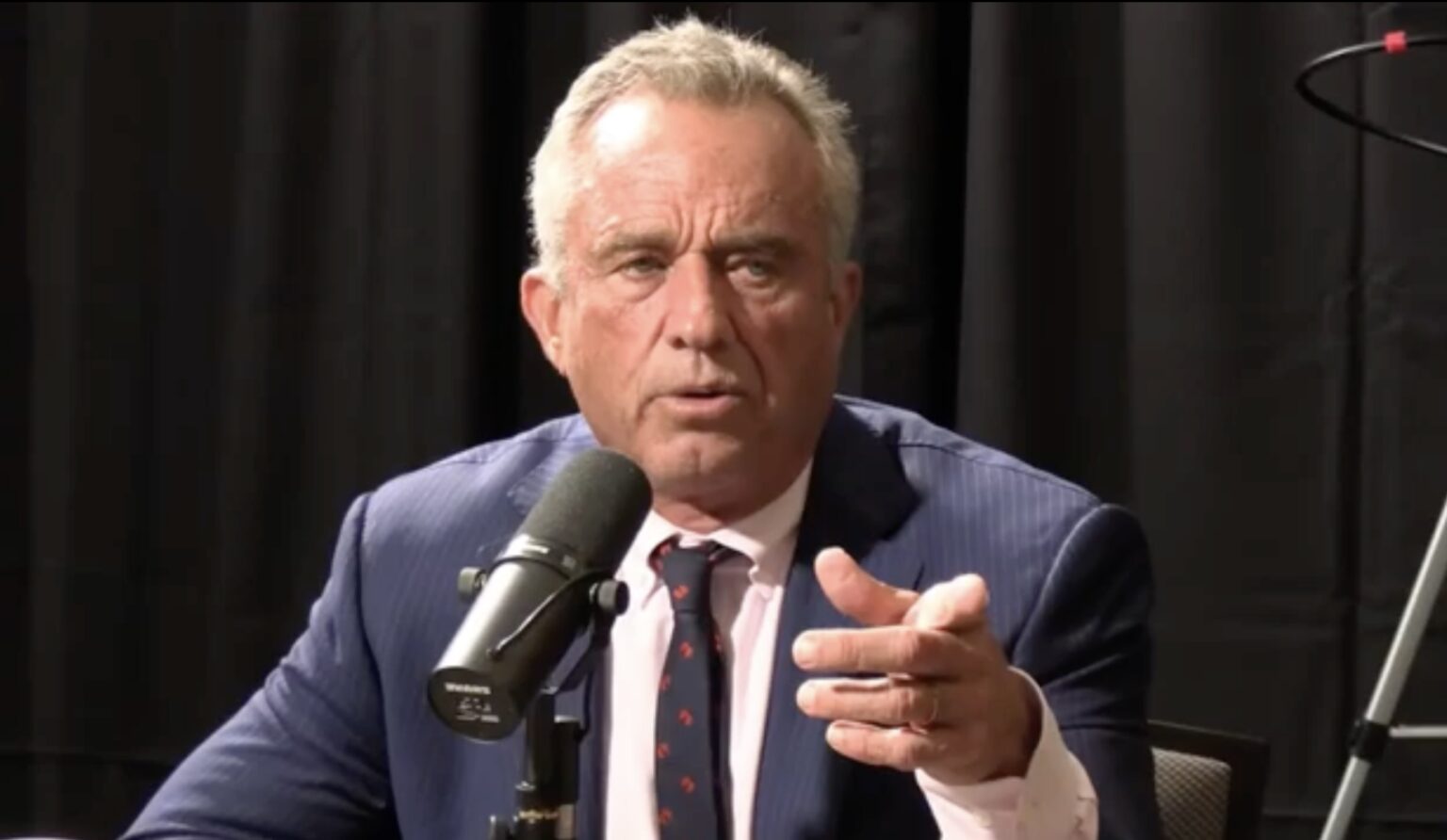 MAGA Loyalists Flag RFK Jr.’s Pro-Democratic Adviser