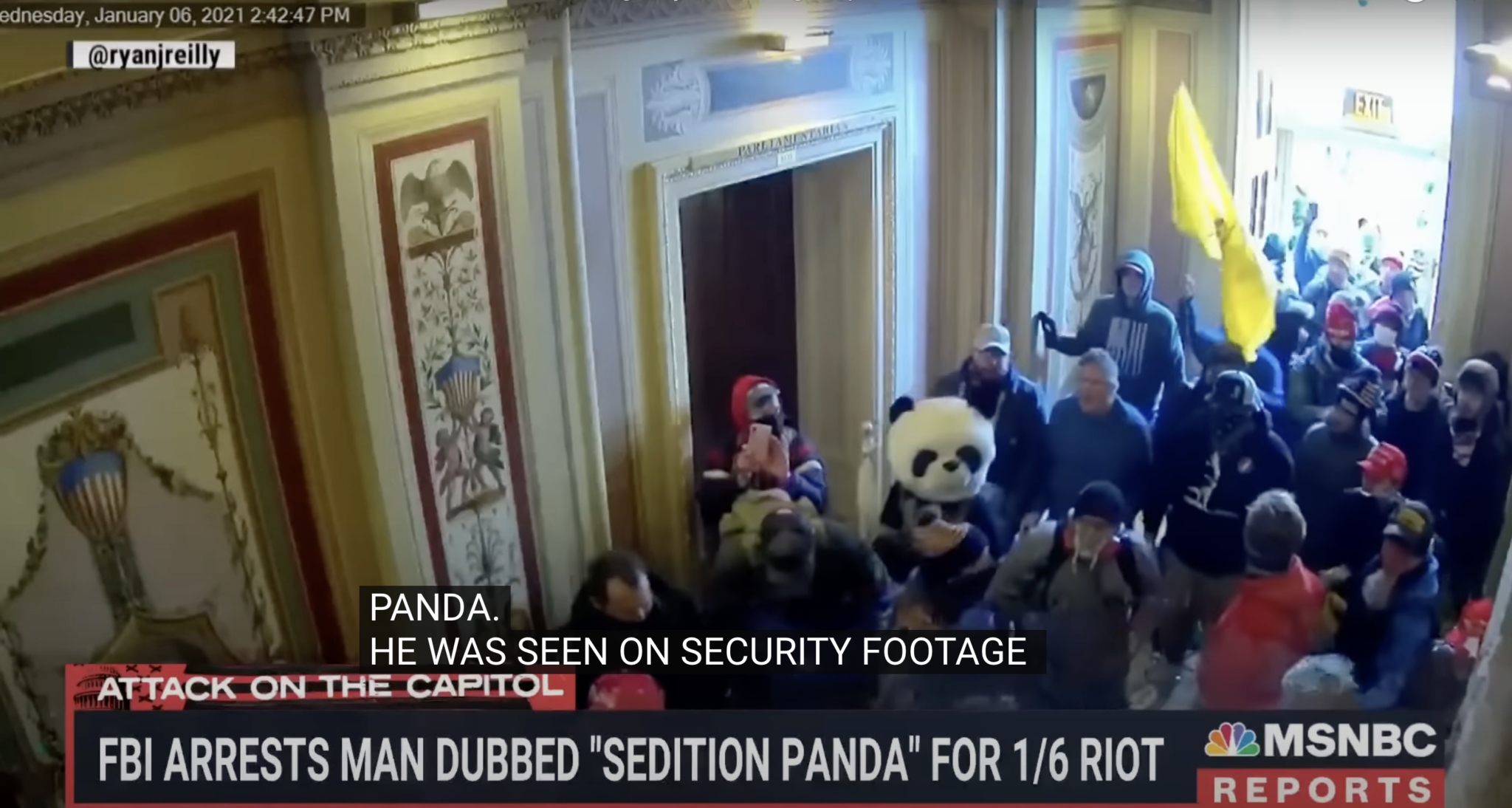 'Sedition Panda' Convicted of Assaulting Police Officer