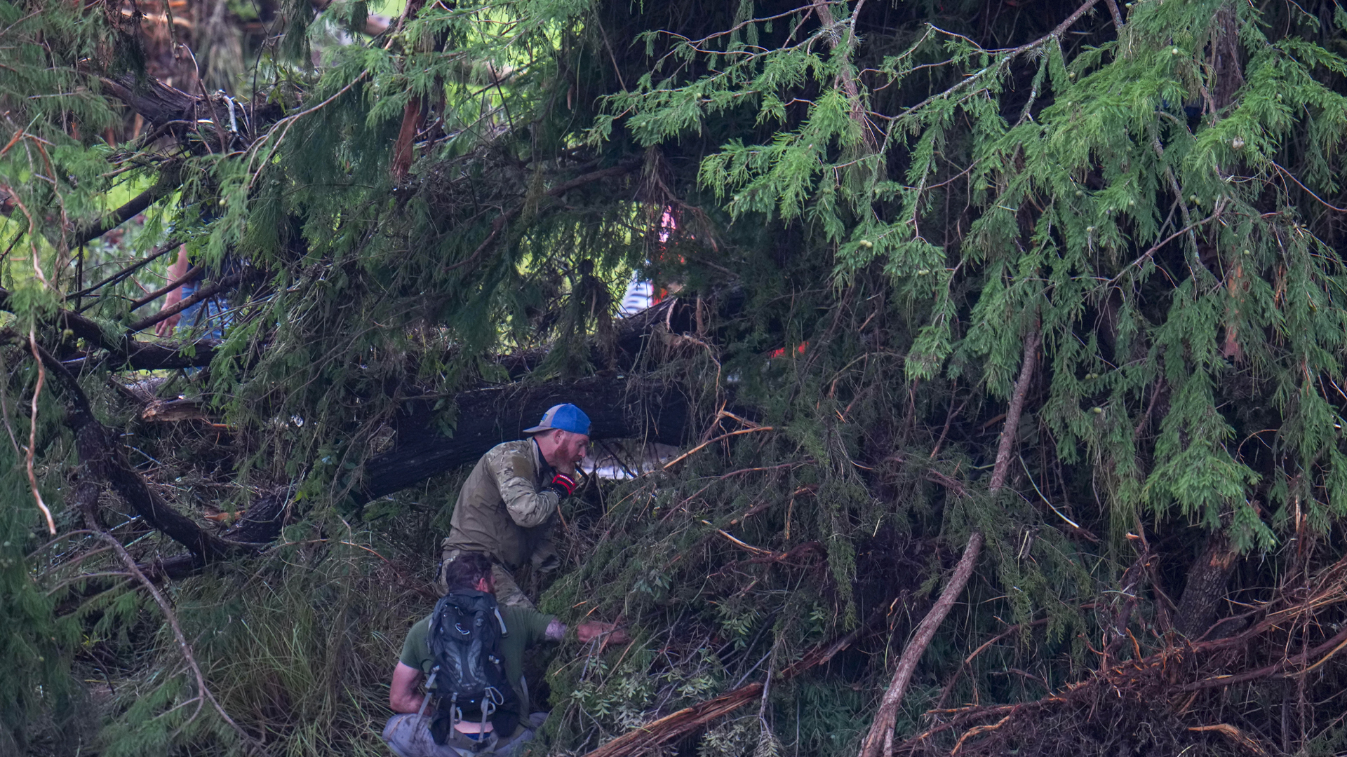 Texas Pediatrician Put on Leave Over Viral MAGA Flood Post