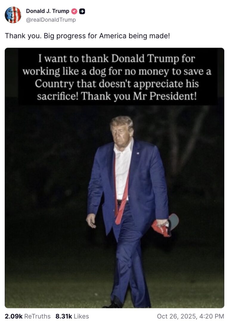 Trump Posts Picture Thanking Himself for Saving USA