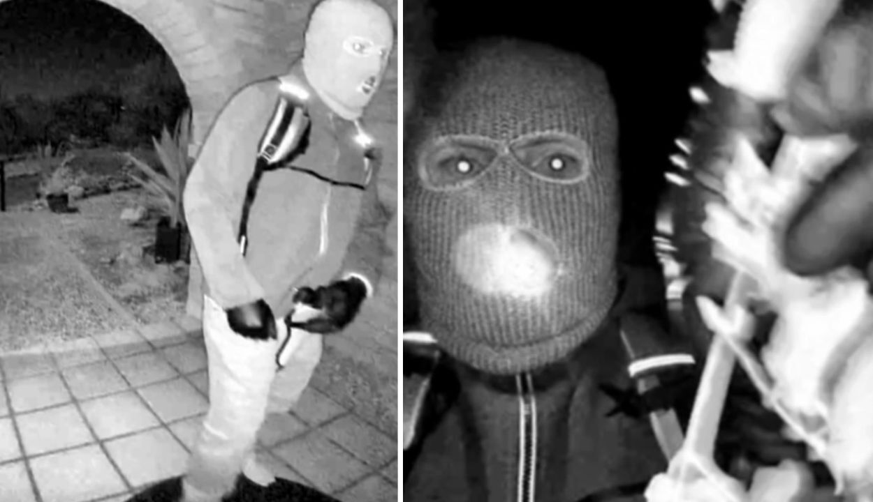 Leavitt Relays Trump's 'Disgust' With Nancy Guthrie Video