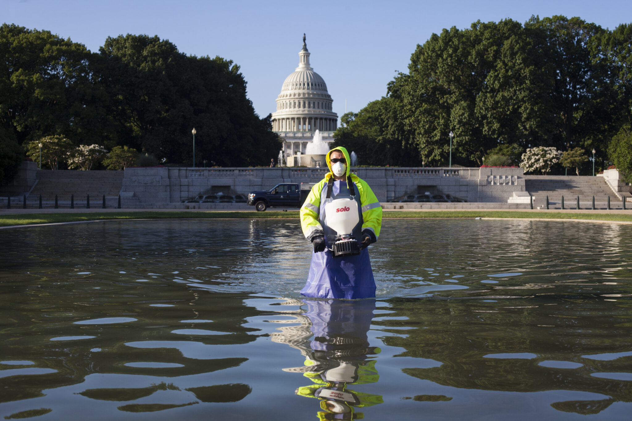 More Aggressive Algae Spreading in Reflecting Pool